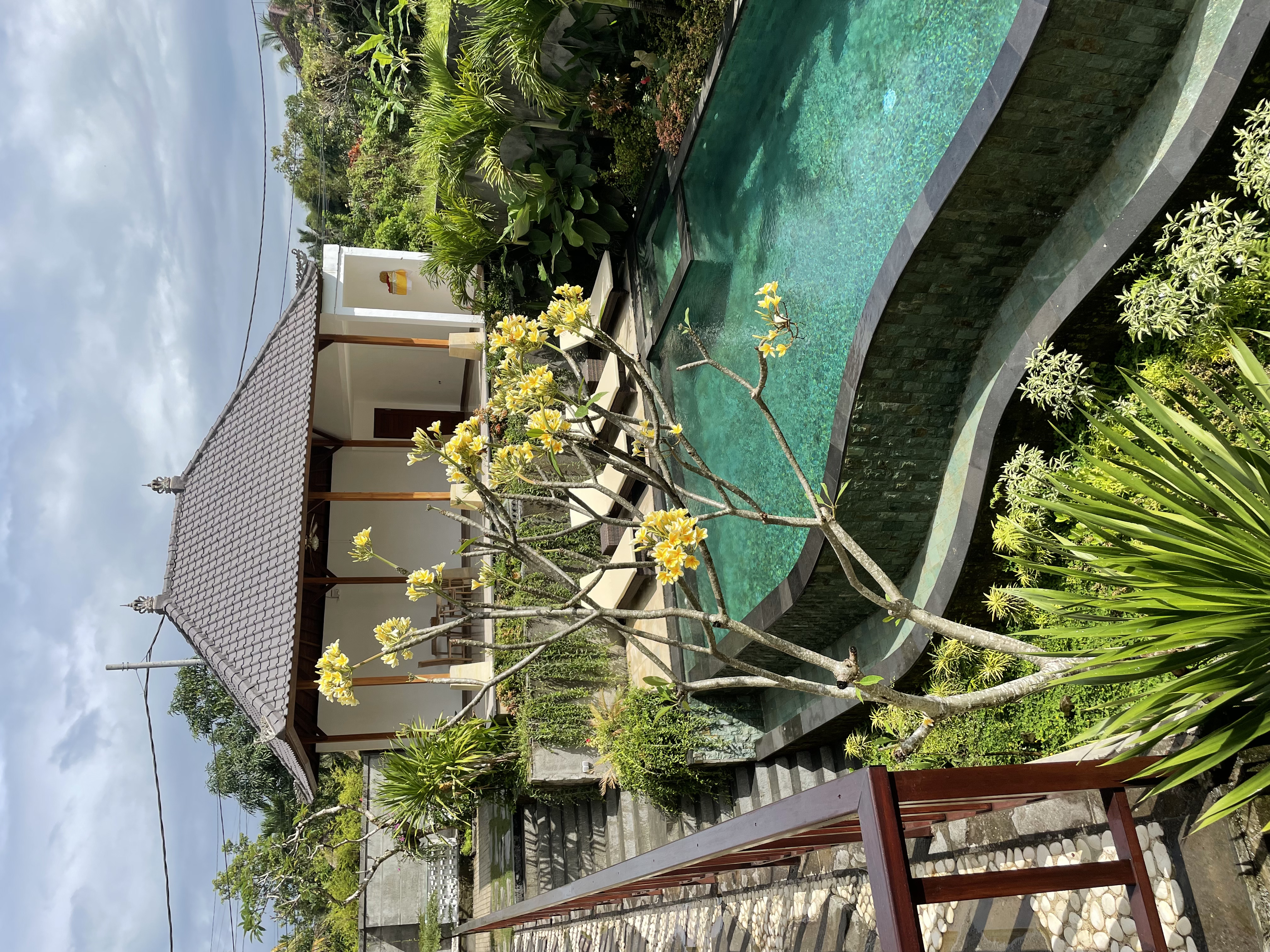 Harum Sari Retreat Ubud | Wellness & Healing Retreat Bali | Detox Packages